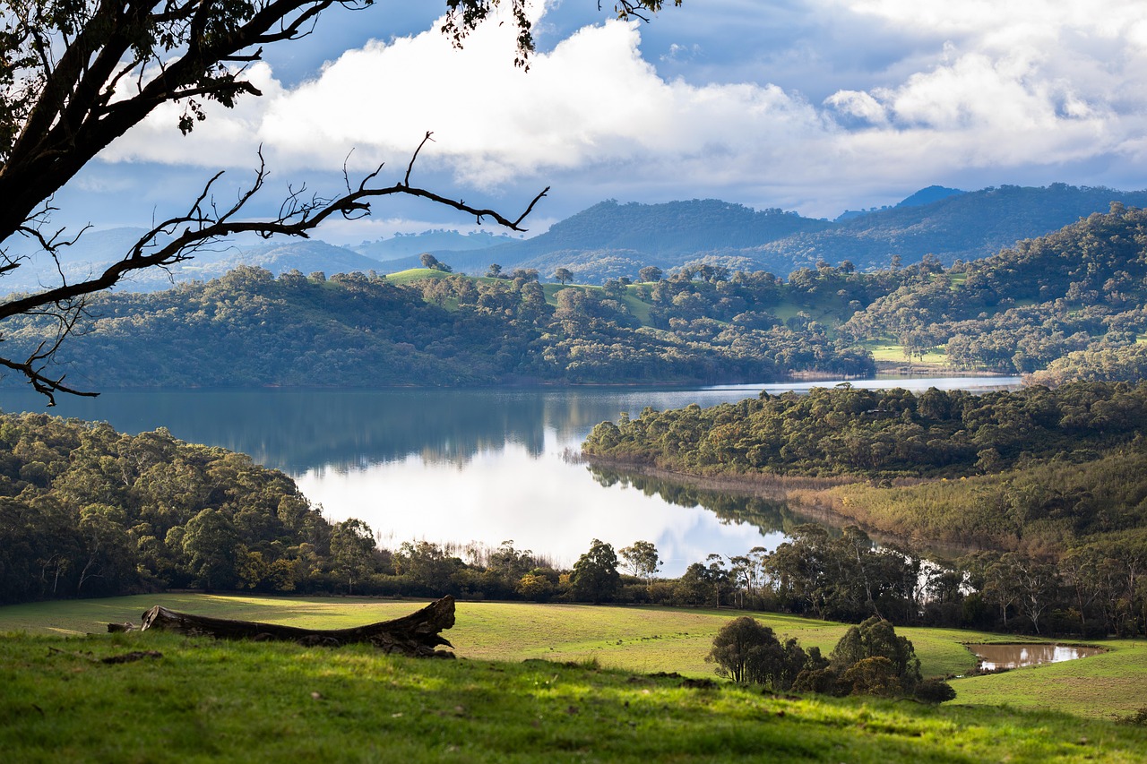 New Forests Achieves Final Close on Australia New Zealand Forestry Fund ...